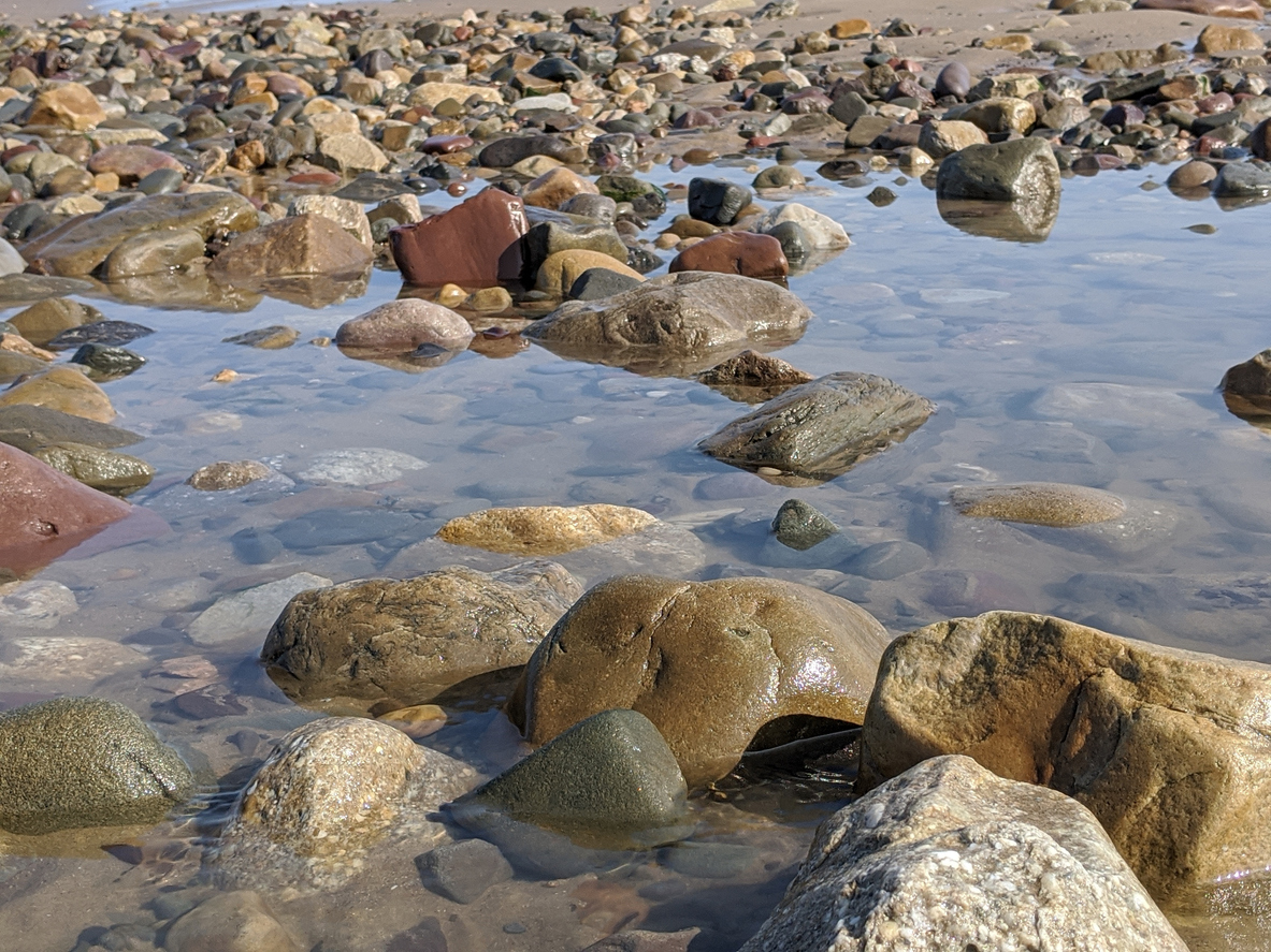 5 Tips for Rockpooling - Blue Reef Aquarium