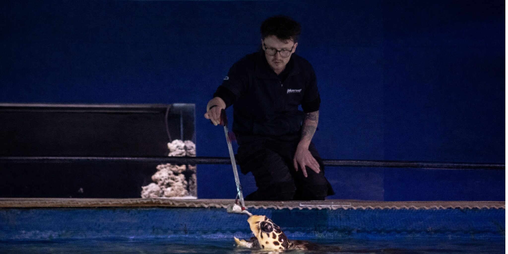The People Who Talk to Fish: Inside the Life of an Aquarist - Blue Reef ...
