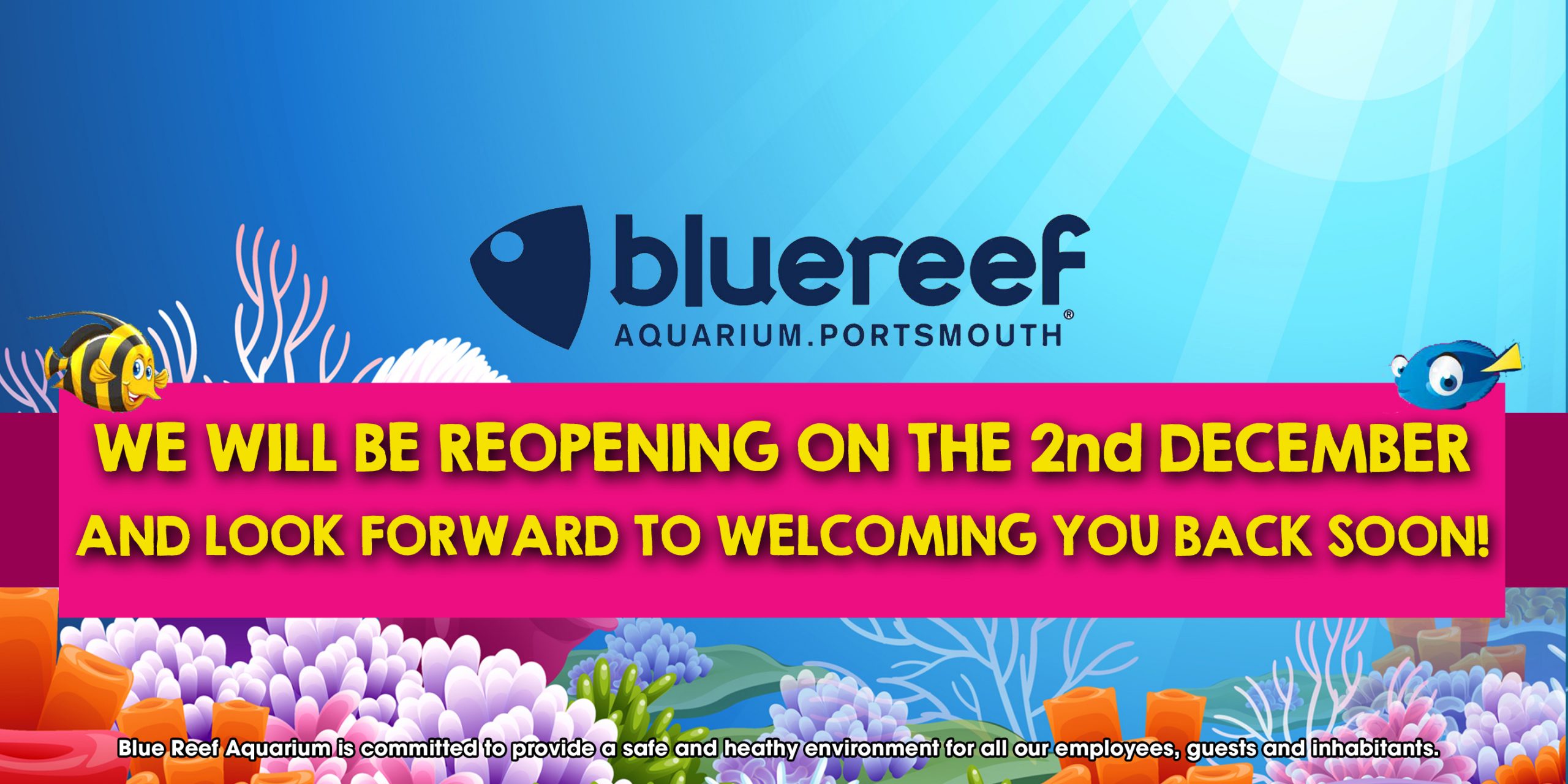 Bluereef Portsmouth | Blue Reef Aquarium Portsmouth