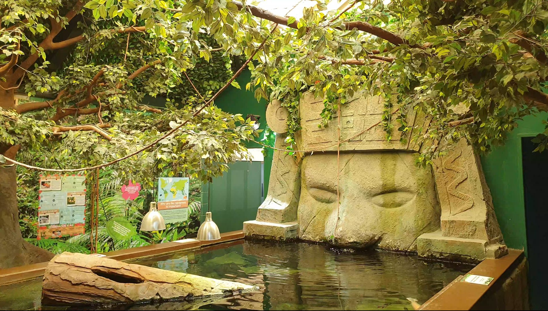 What's On - Blue Reef Aquarium