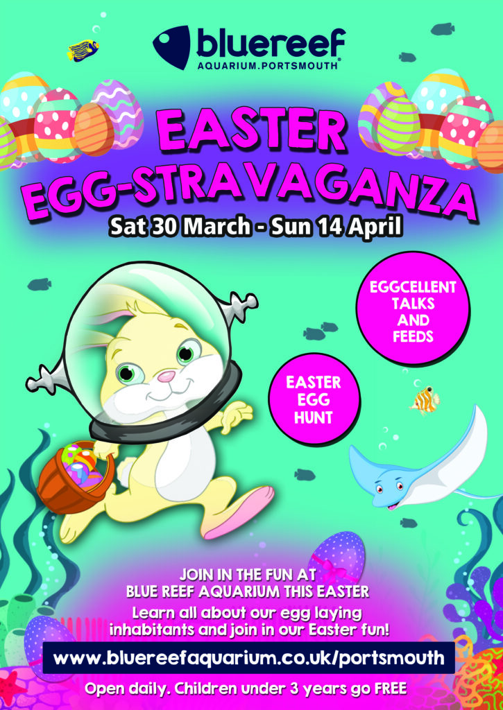 What's On - Blue Reef Aquarium